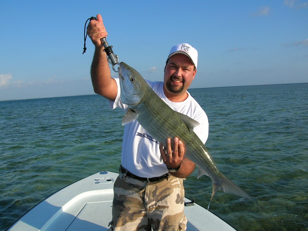 WhiteTail Solutions - Managing CT's Deer Population through Traditional ...